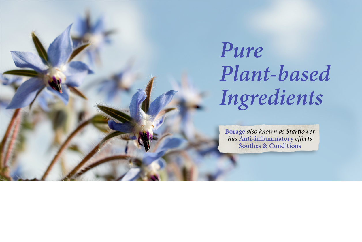 MiraCell - Pure Natural Blends of Botanical Extracts for Skin Care & Beauty