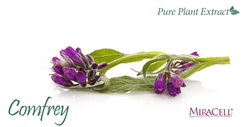 Ingredients | MiraCell